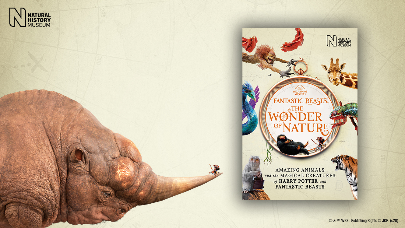How we made the eBook of Fantastic Beasts – The Wonder of Nature ...